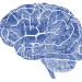 Matt Silsby – Neurologist & Neurophysiologist